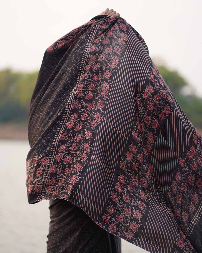 Buy Rahi Block printed Modal Silk Saree | Silk saree printed | Saree