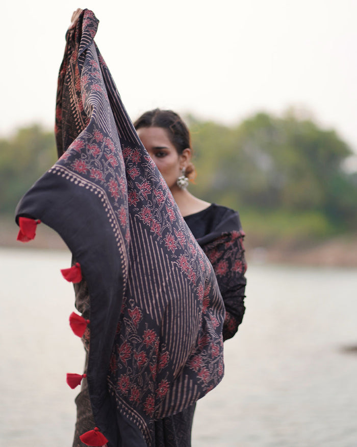 Buy Rahi Block printed Modal Silk Saree | Silk saree printed | Saree