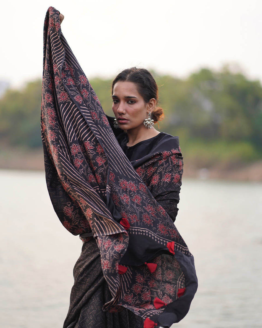 Buy Rahi Block printed Modal Silk Saree | Silk saree printed | Saree